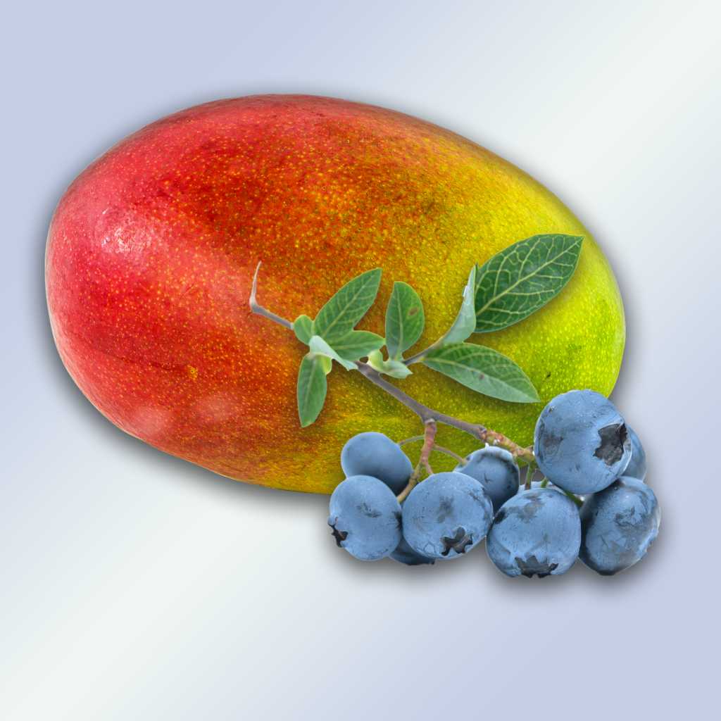 Blueberry & Mango Flavouring - Stansfield's Fragrance Oils Ltd